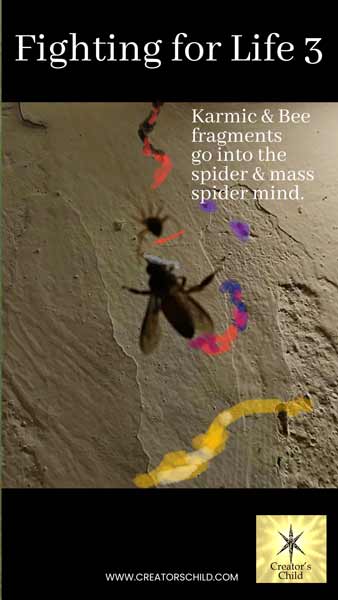 Fight for Life: The Spiritual Lessons of Deadly Fight Between Spider & Bee